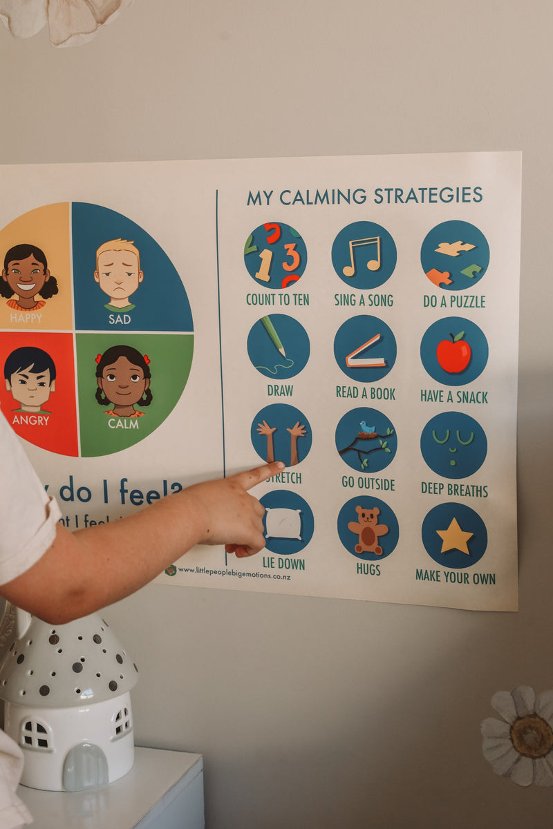 My Calming Strategies Poster – Little People, Big Emotions